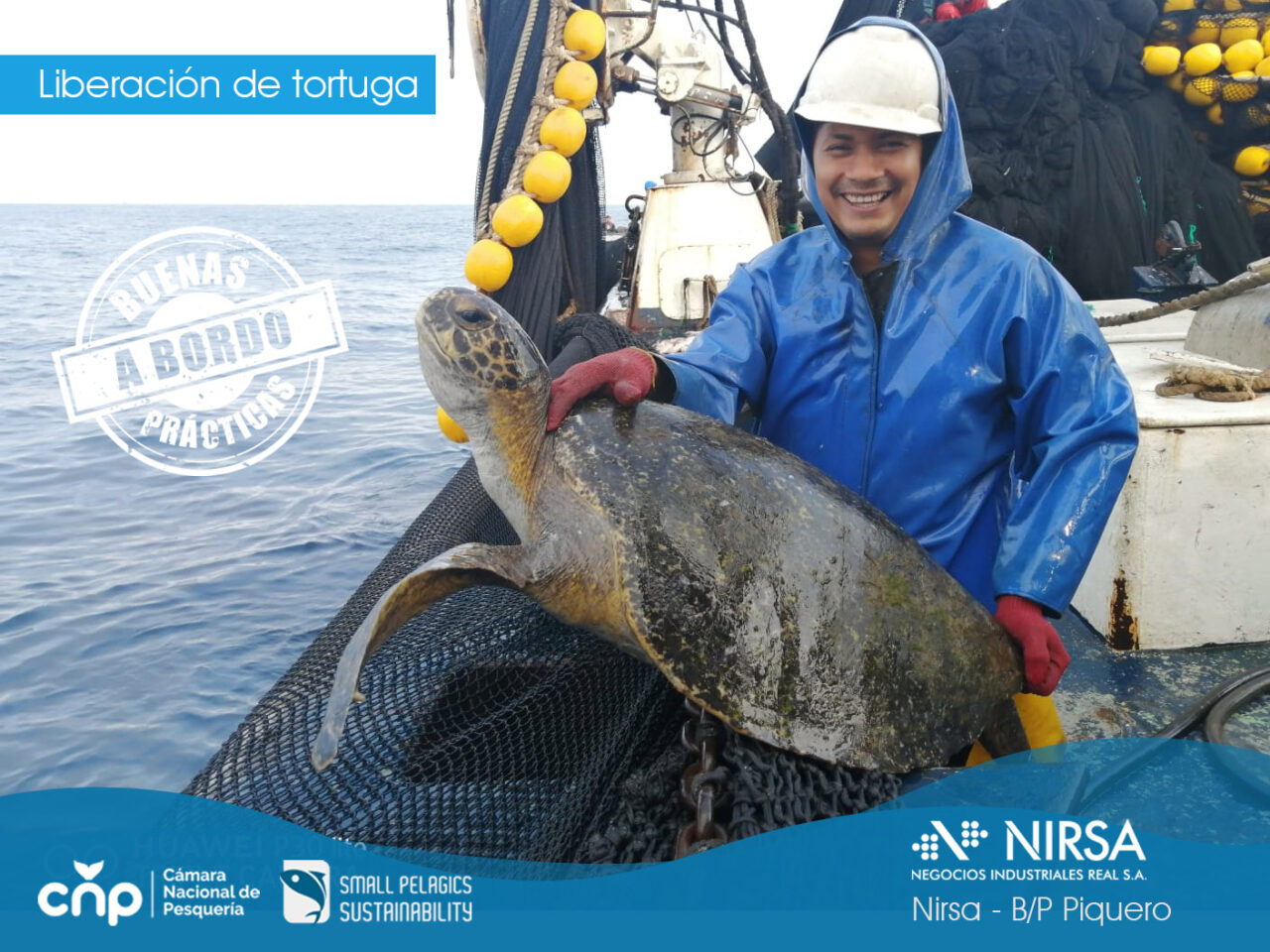 Pescadores de la flota de pelágicos pequeños de la CNP realizan la ...